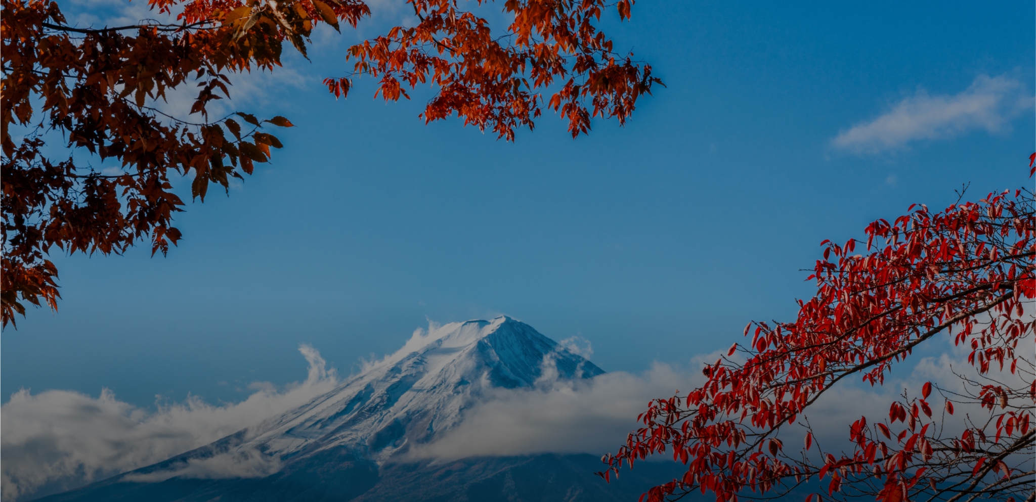 Expedia Group launches One Key in the UK: a flexible loyalty programme ...